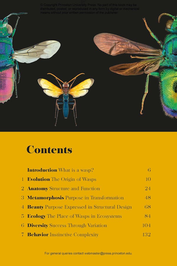 Wasps | Princeton University Press