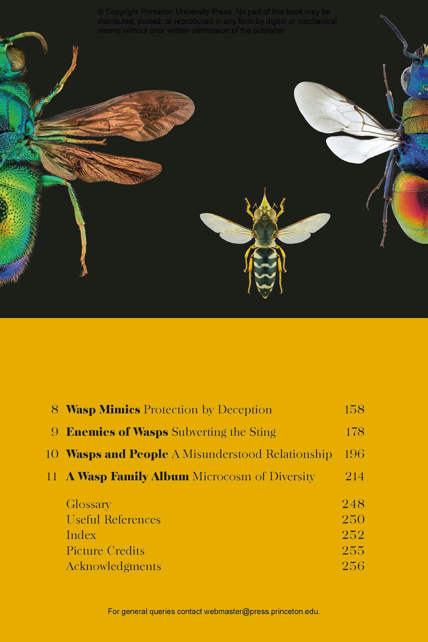 Wasps | Princeton University Press