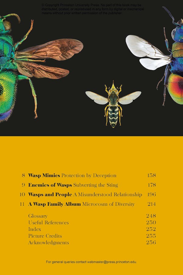 Wasps | Princeton University Press