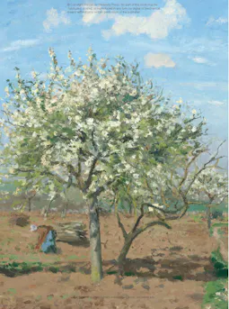 Trees of Life | Princeton University Press