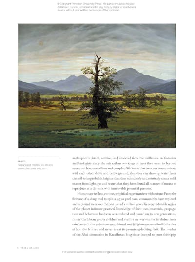 Trees of Life | Princeton University Press