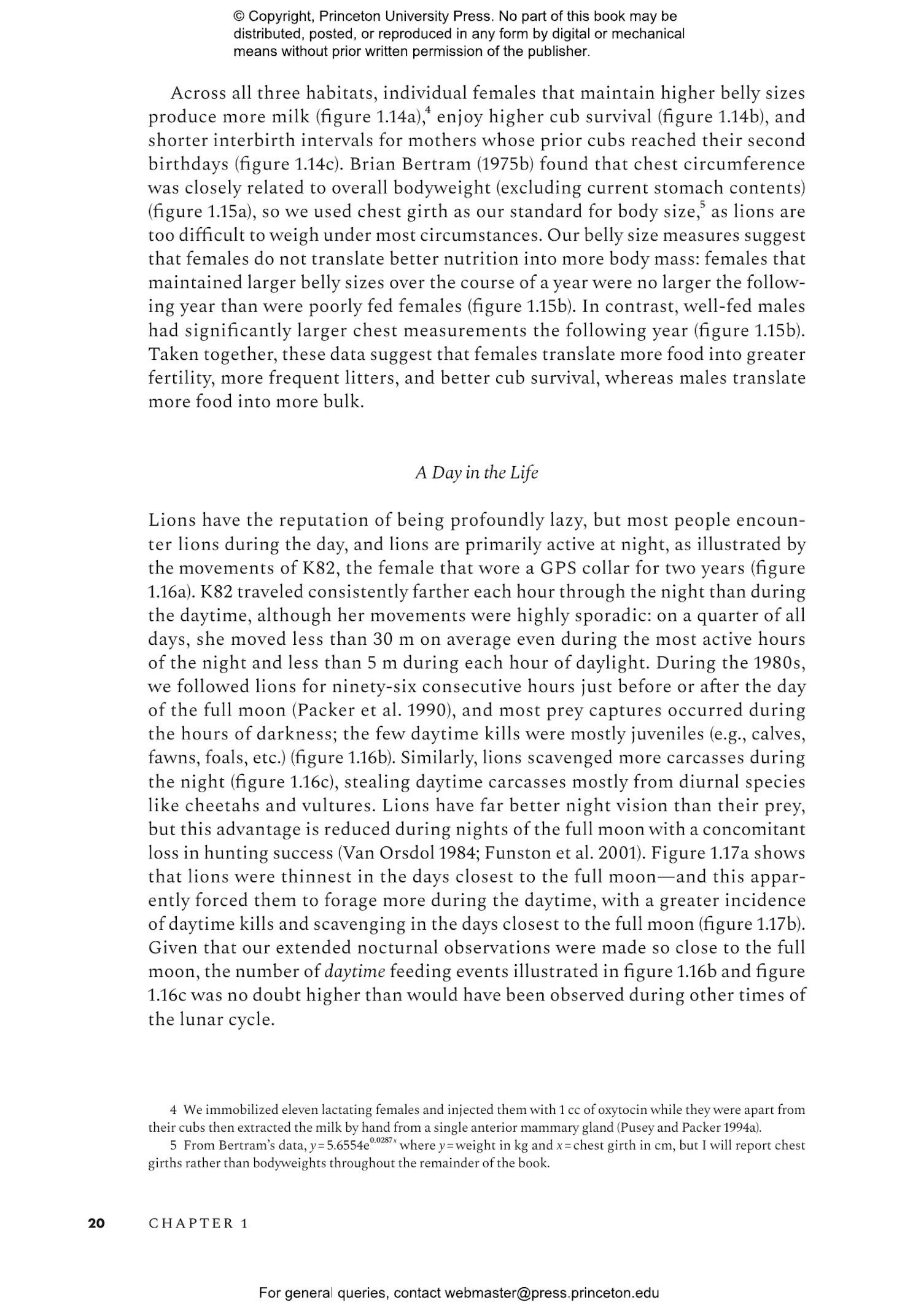 The Lion | Princeton University Press