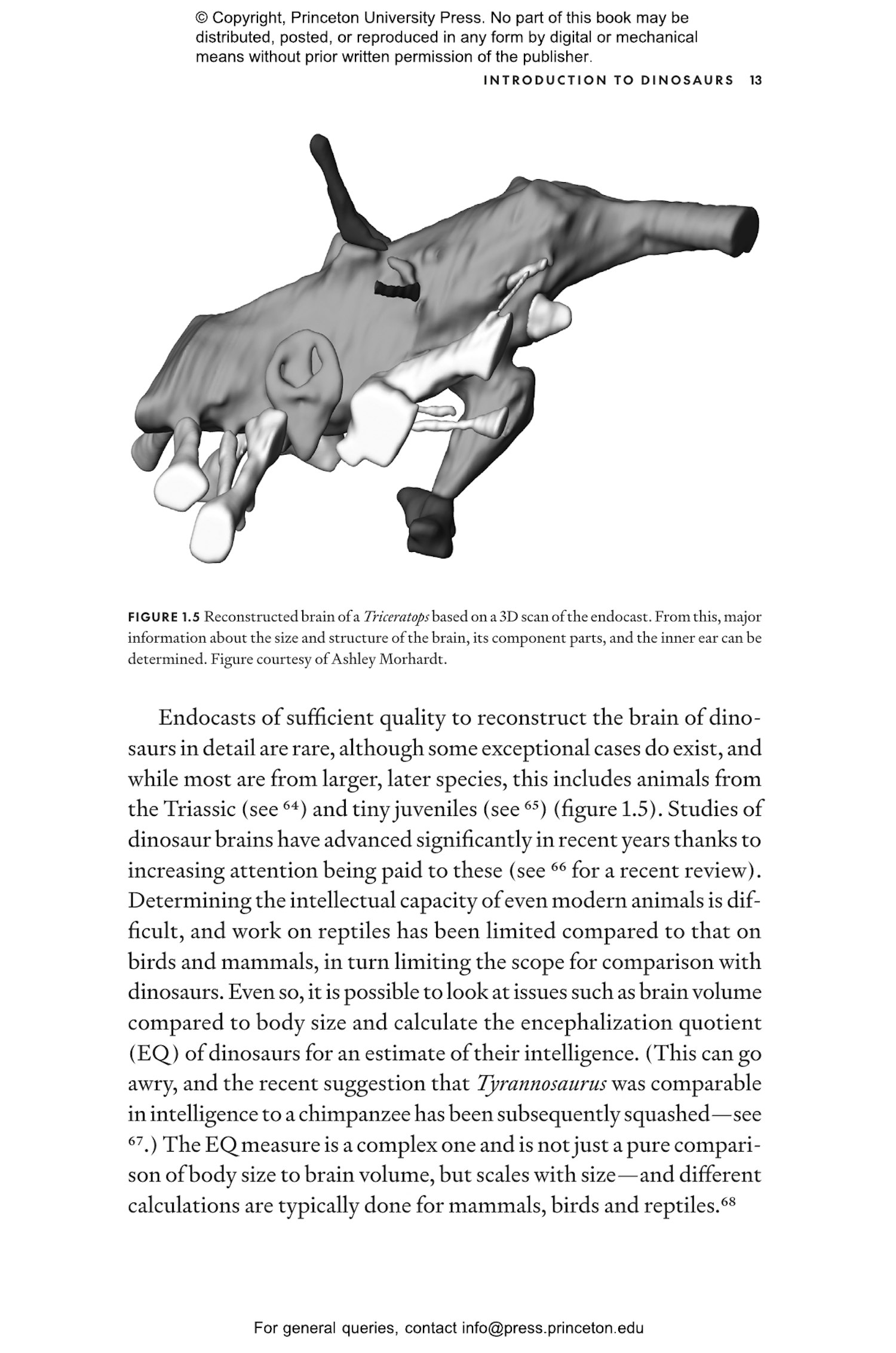 Uncovering Dinosaur Behavior | Princeton University Press