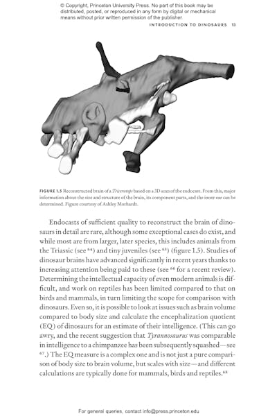 Uncovering Dinosaur Behavior | Princeton University Press