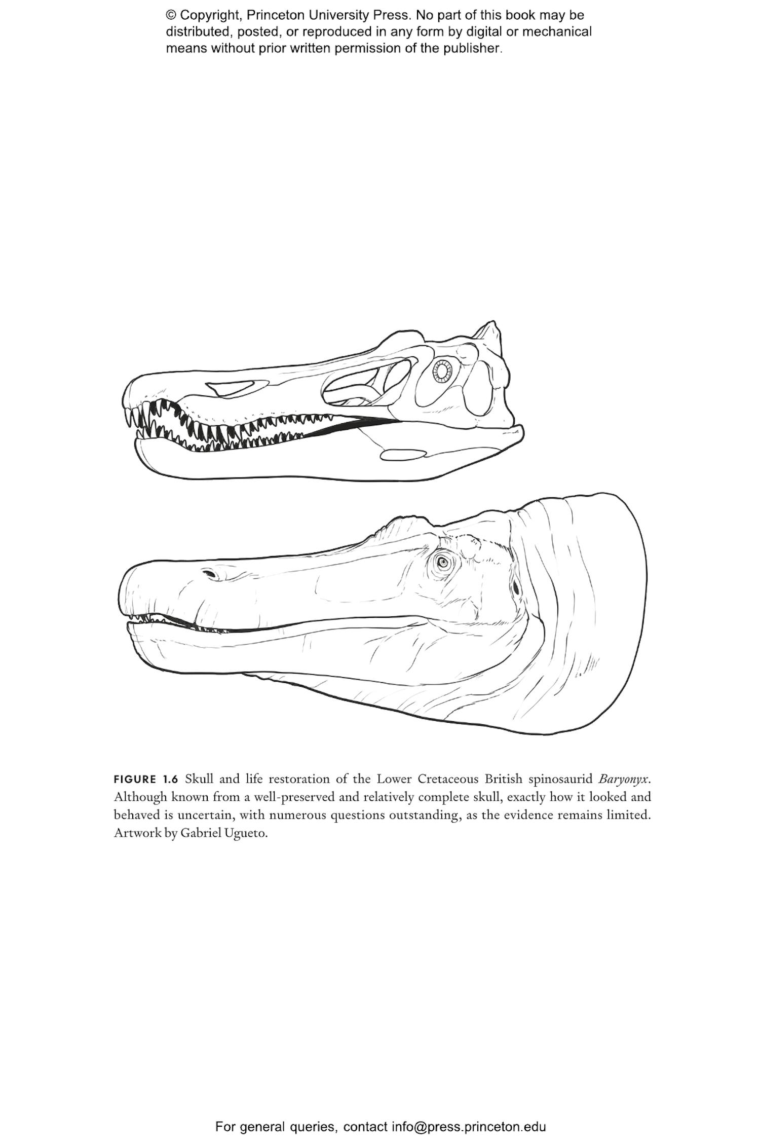 Uncovering Dinosaur Behavior | Princeton University Press