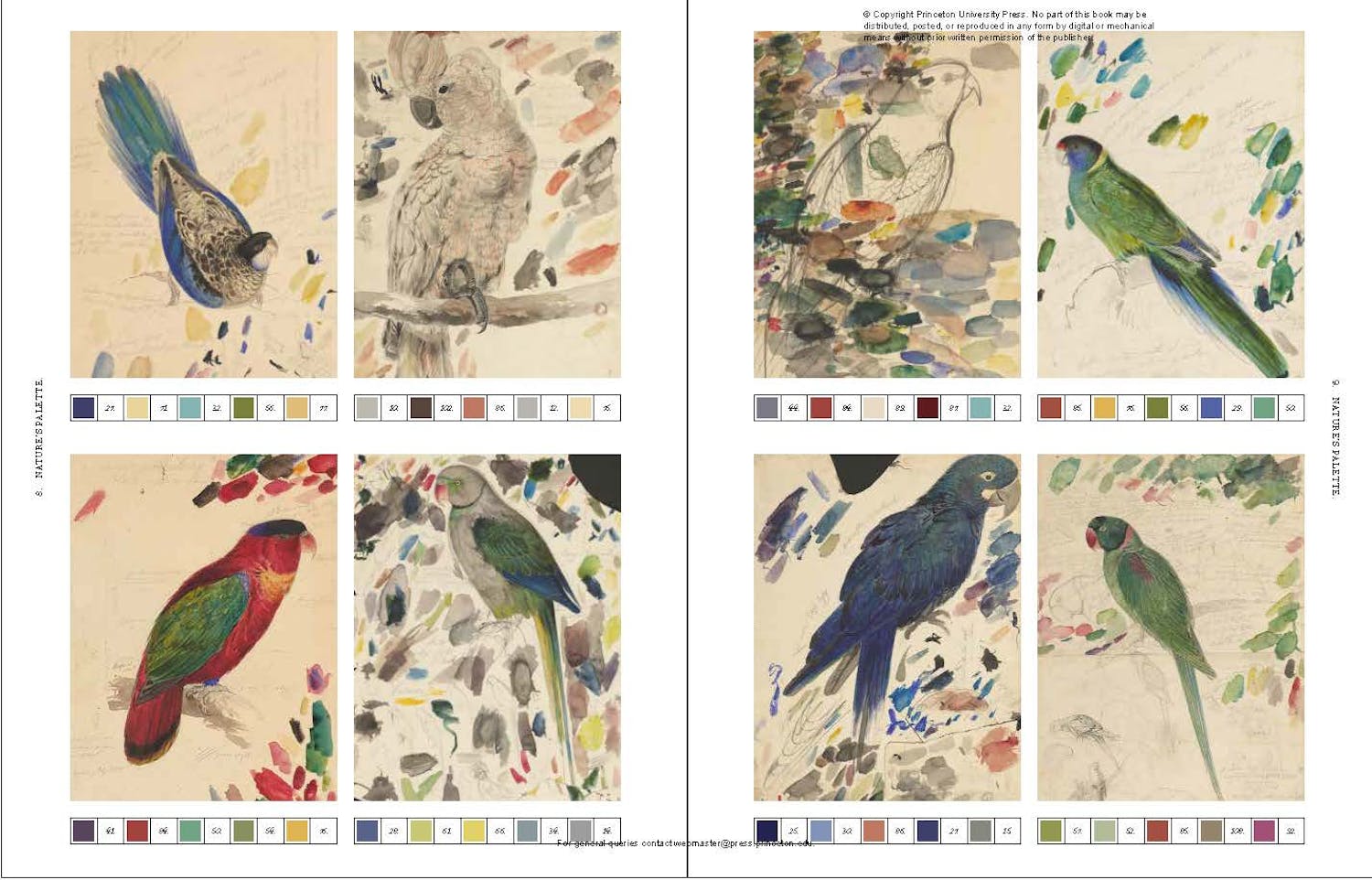 Nature's Palette | Princeton University Press