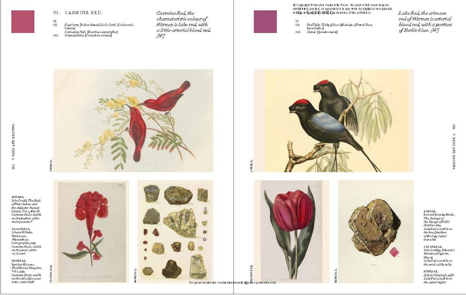 Nature's Palette | Princeton University Press
