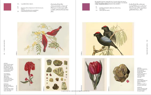 Nature's Palette | Princeton University Press