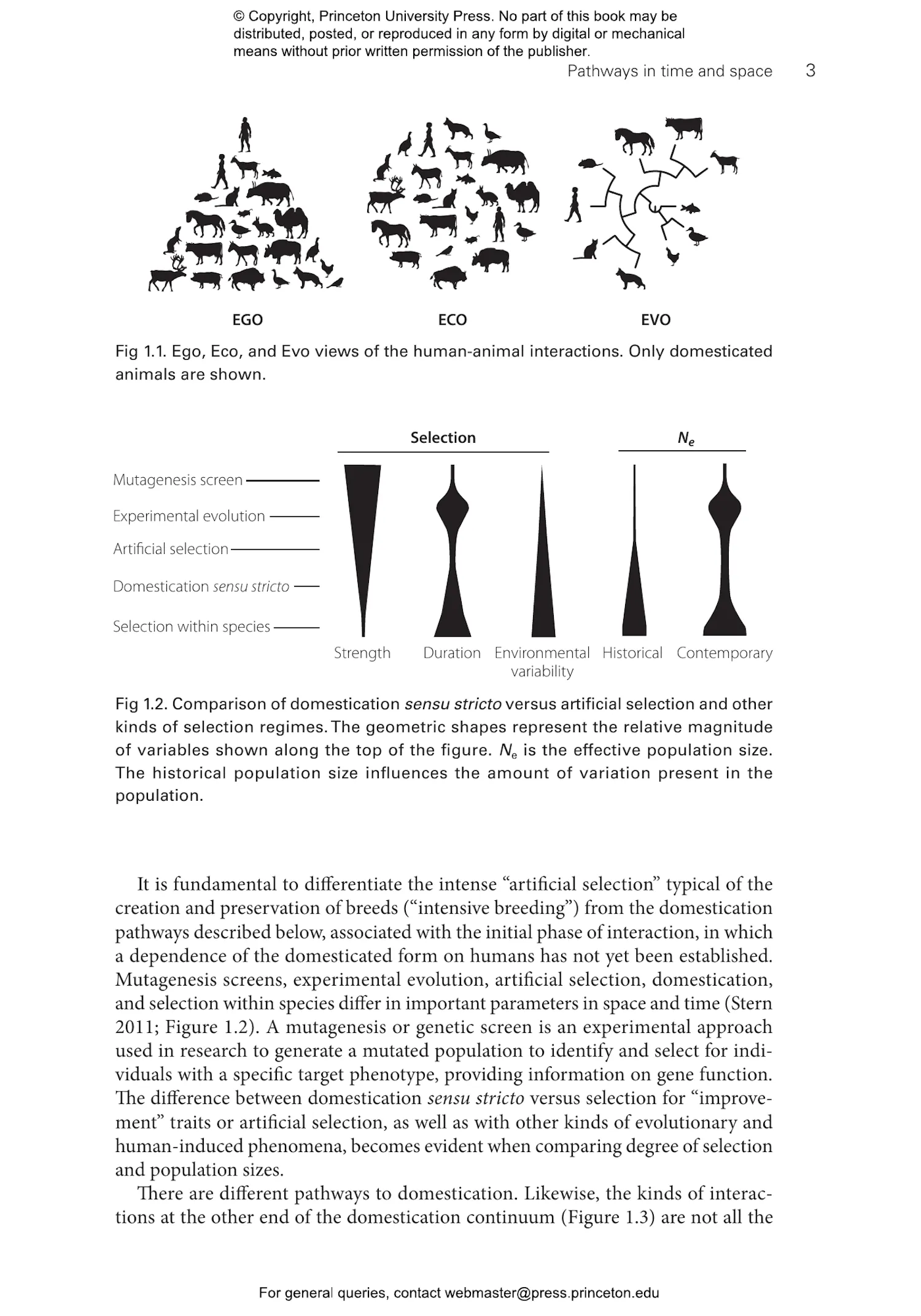 The Process of Animal Domestication | Princeton University Press