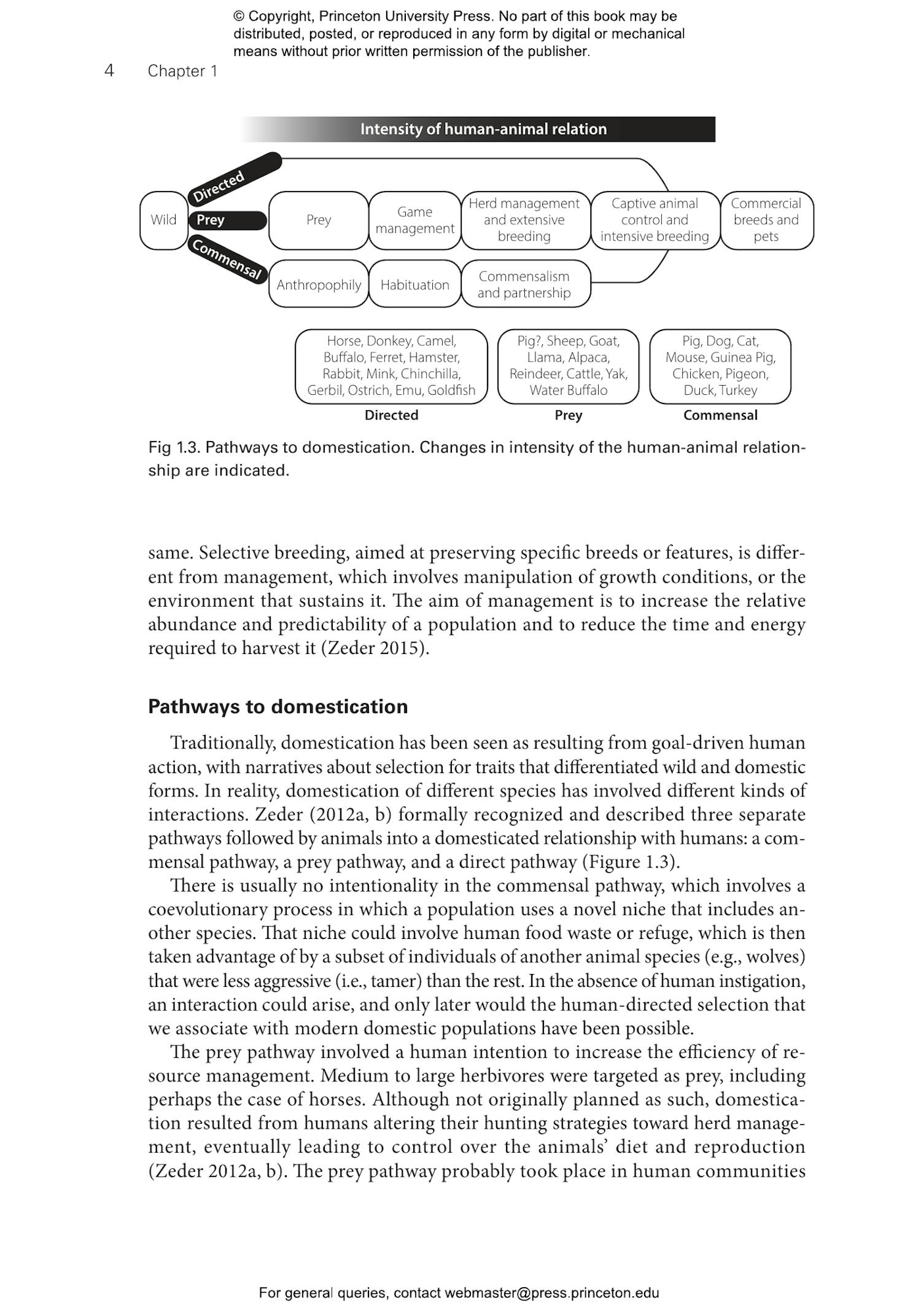 The Process of Animal Domestication | Princeton University Press