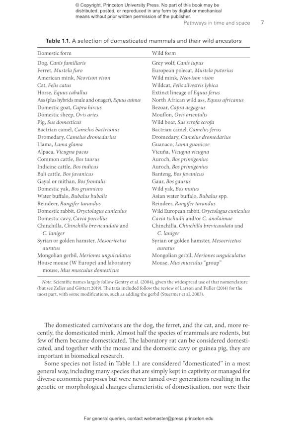 The Process of Animal Domestication | Princeton University Press