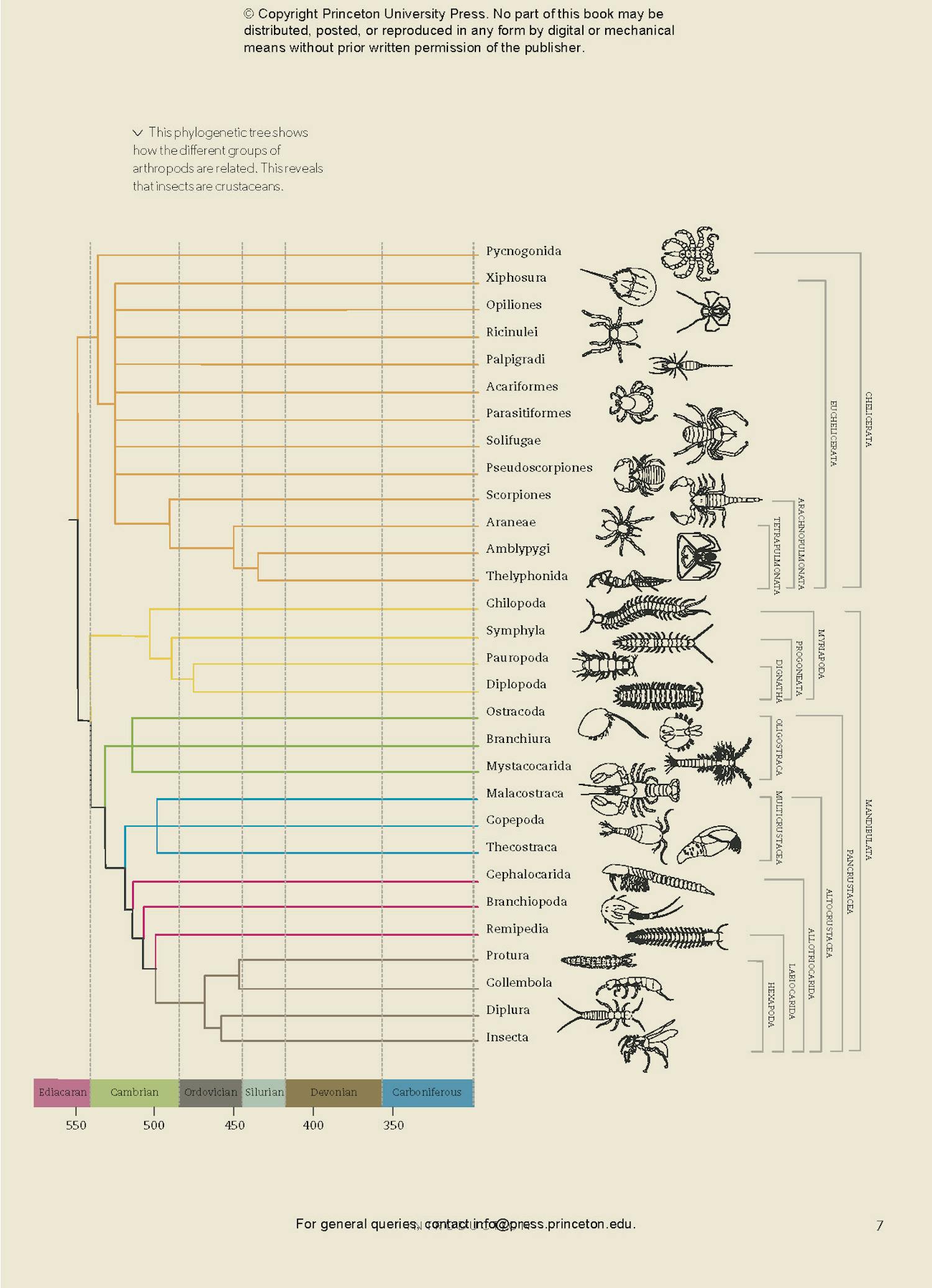 What Insects Do, and Why | Princeton University Press