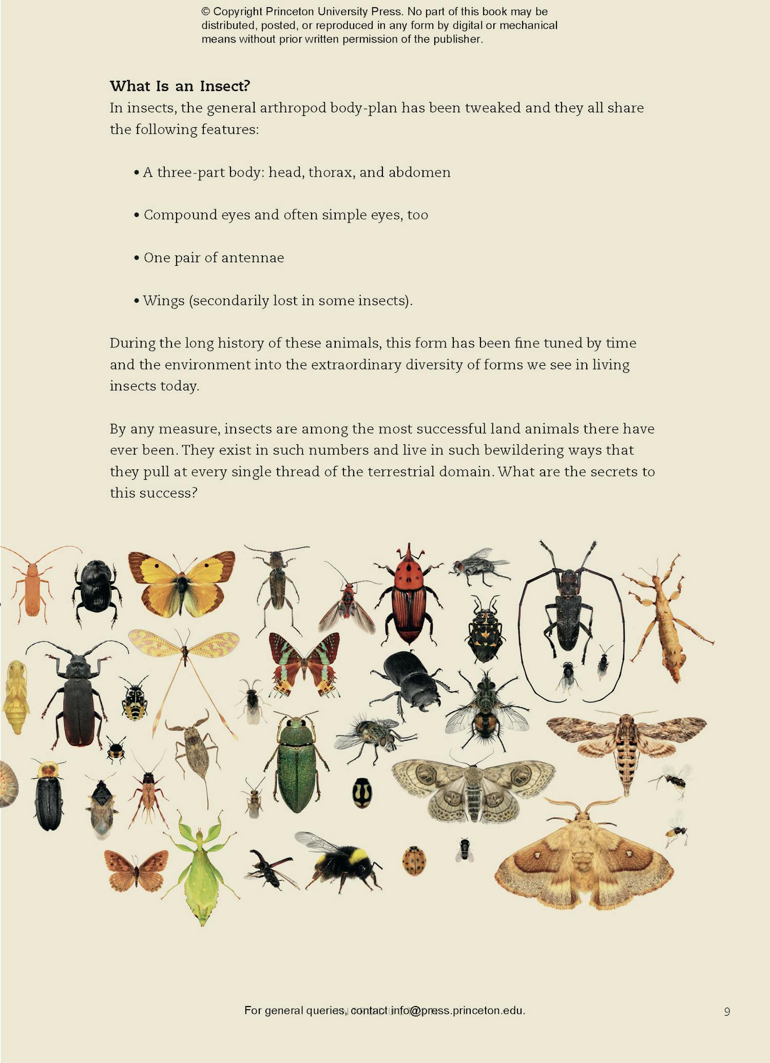 What Insects Do, and Why | Princeton University Press