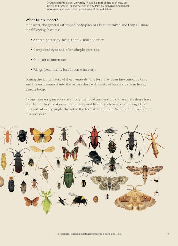 What Insects Do, and Why | Princeton University Press