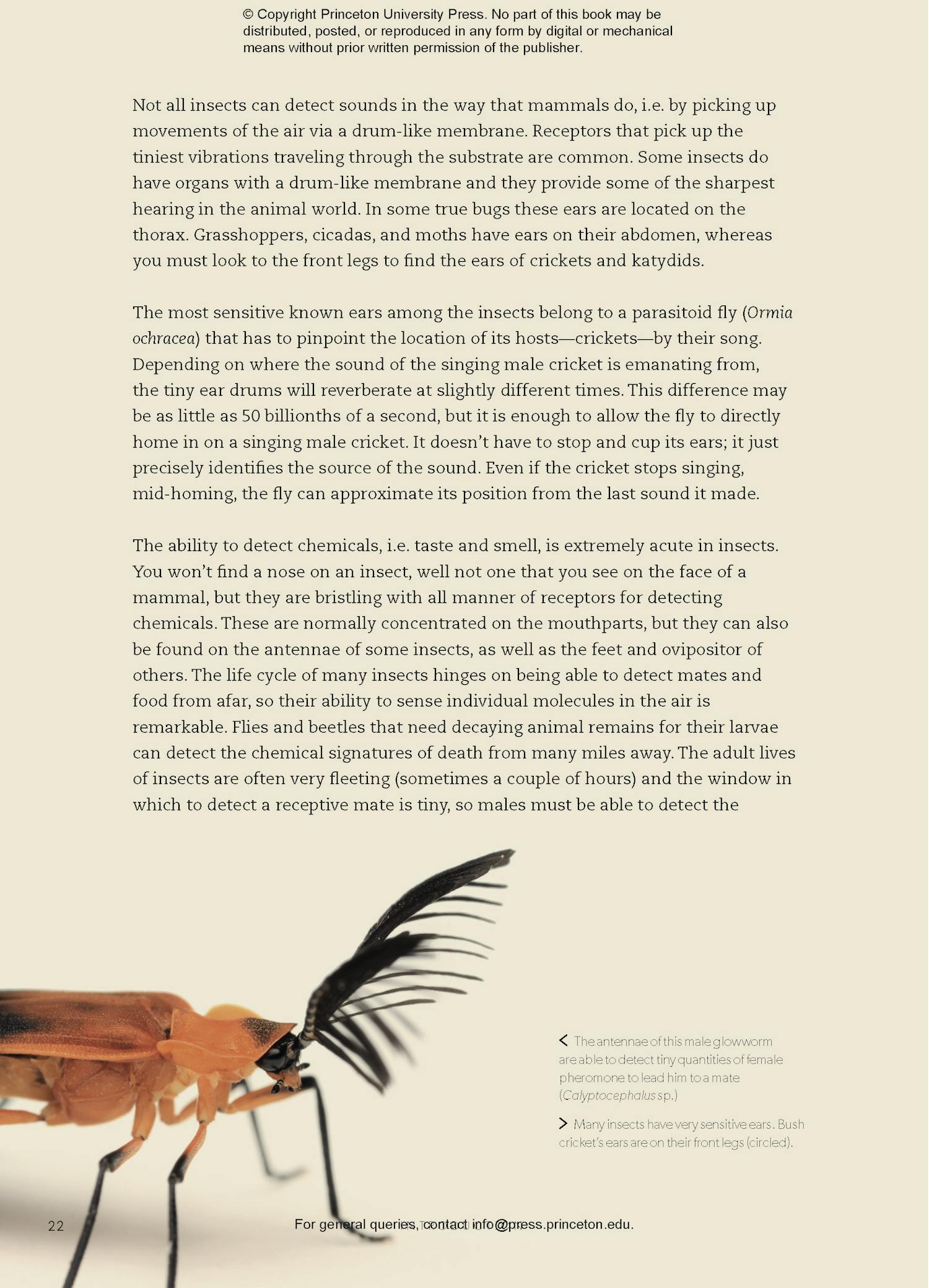 What Insects Do, and Why | Princeton University Press