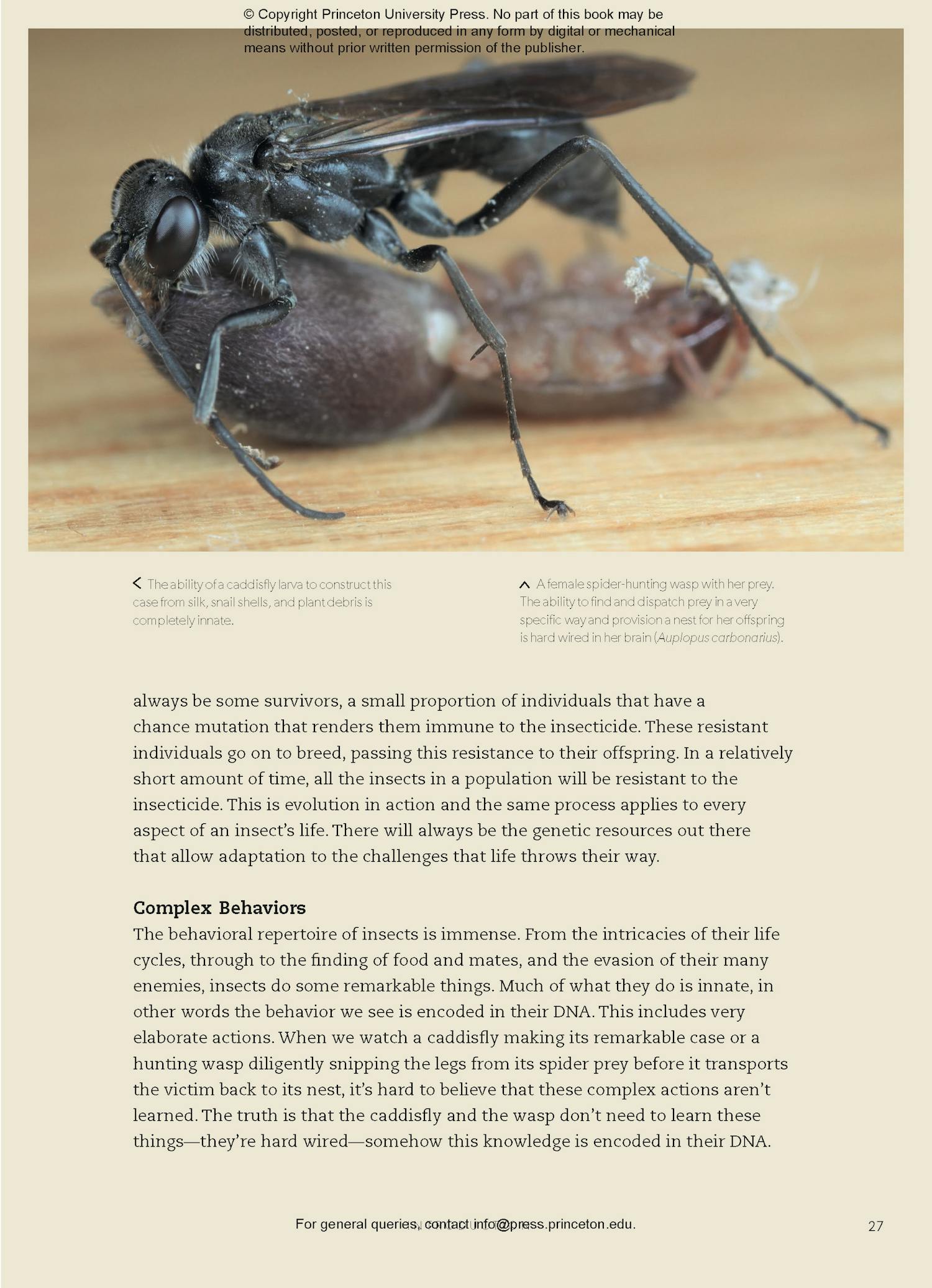 What Insects Do, and Why | Princeton University Press