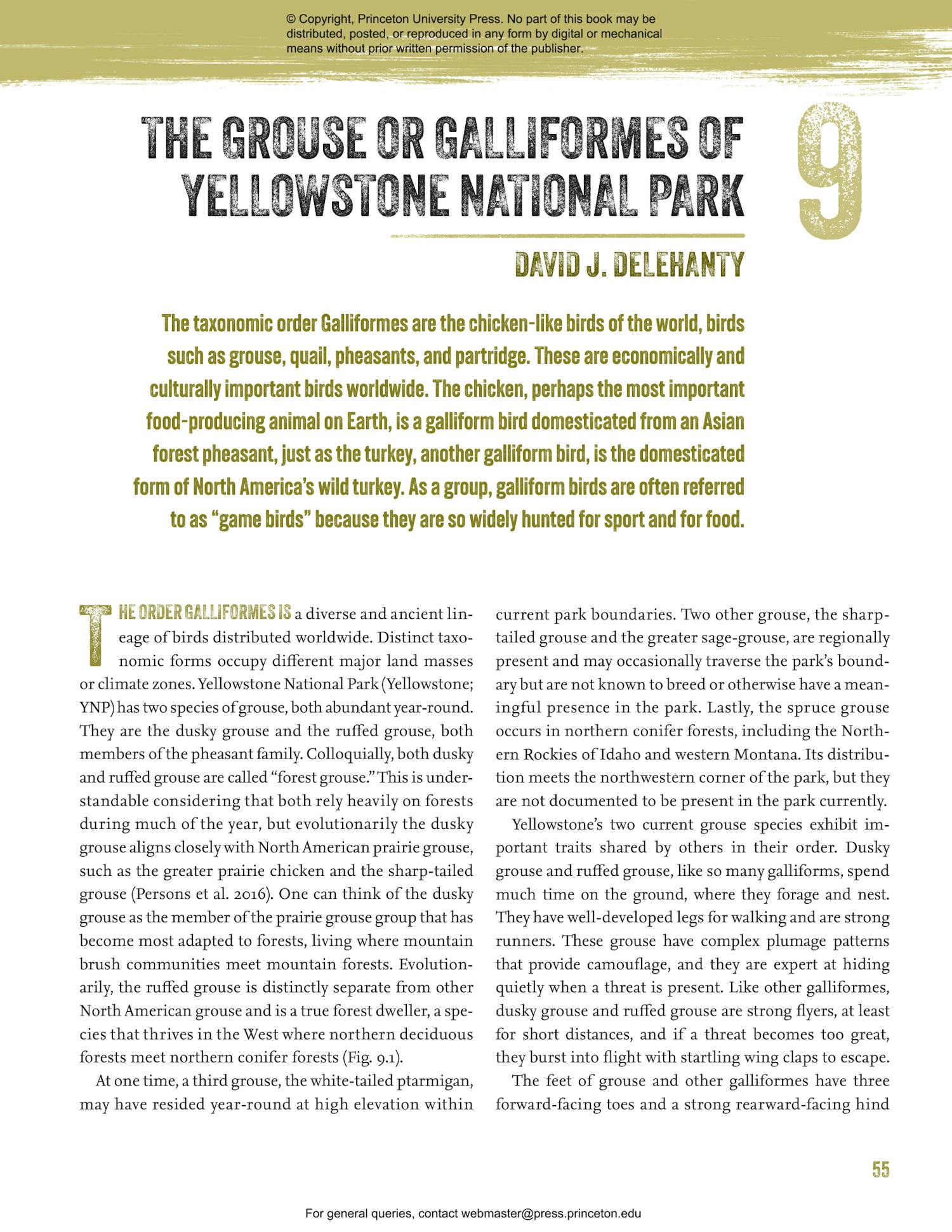 Yellowstone’s Birds | Princeton University Press