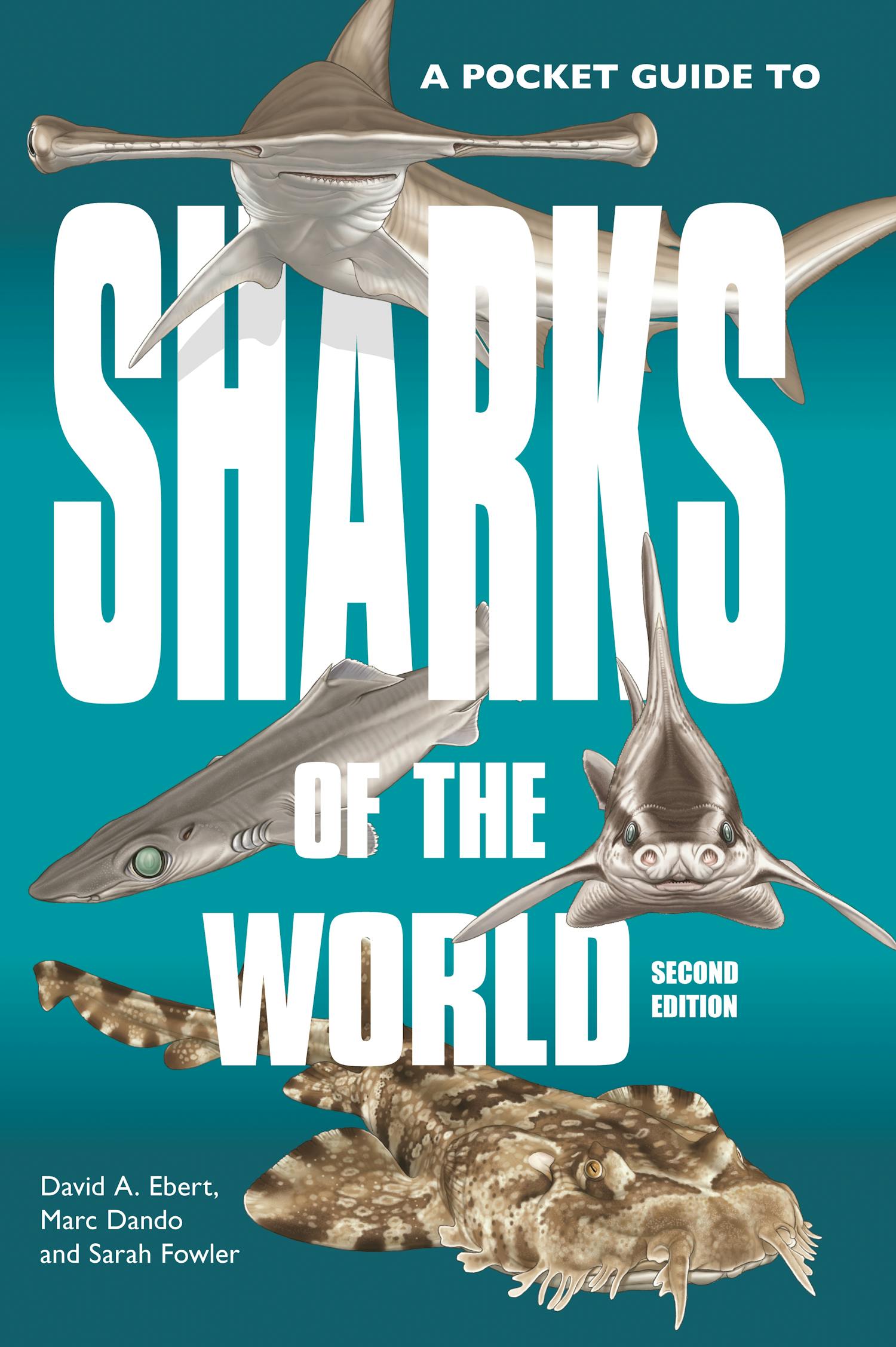 A Pocket Guide to Sharks of the World | Princeton University Press