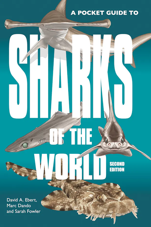 Shark books | Princeton University Press