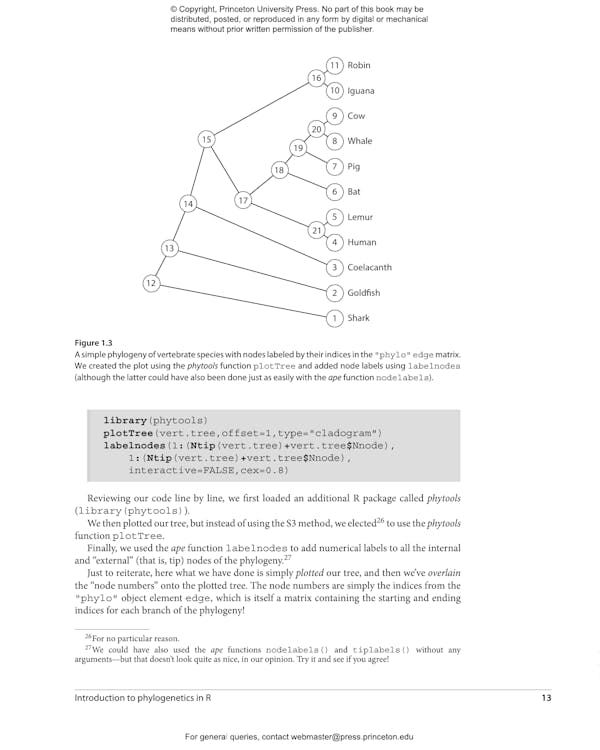 Phylogenetic Comparative Methods in R | Princeton University Press