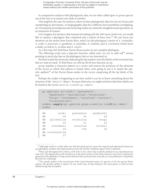 Phylogenetic Comparative Methods in R | Princeton University Press