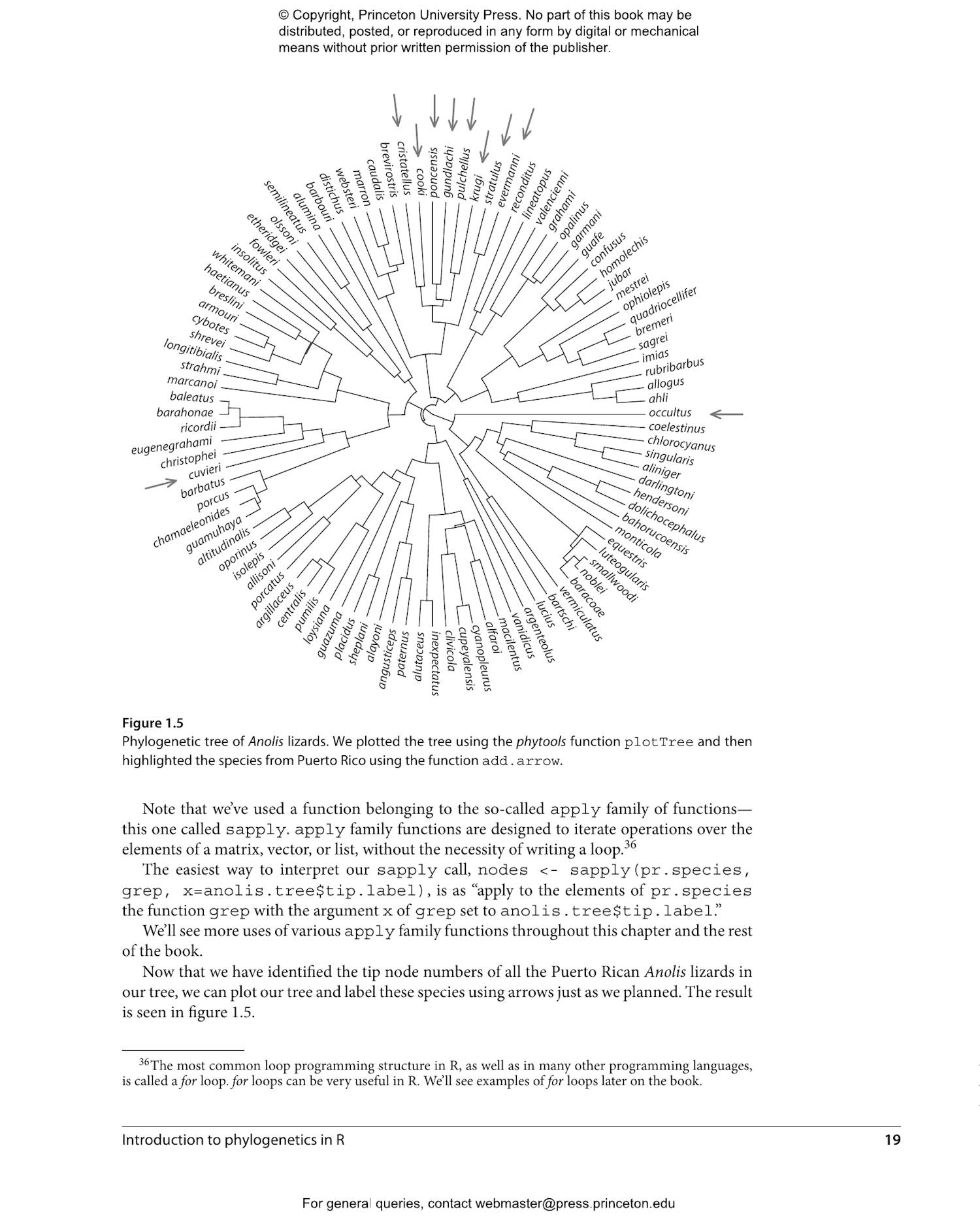 Phylogenetic Comparative Methods in R | Princeton University Press