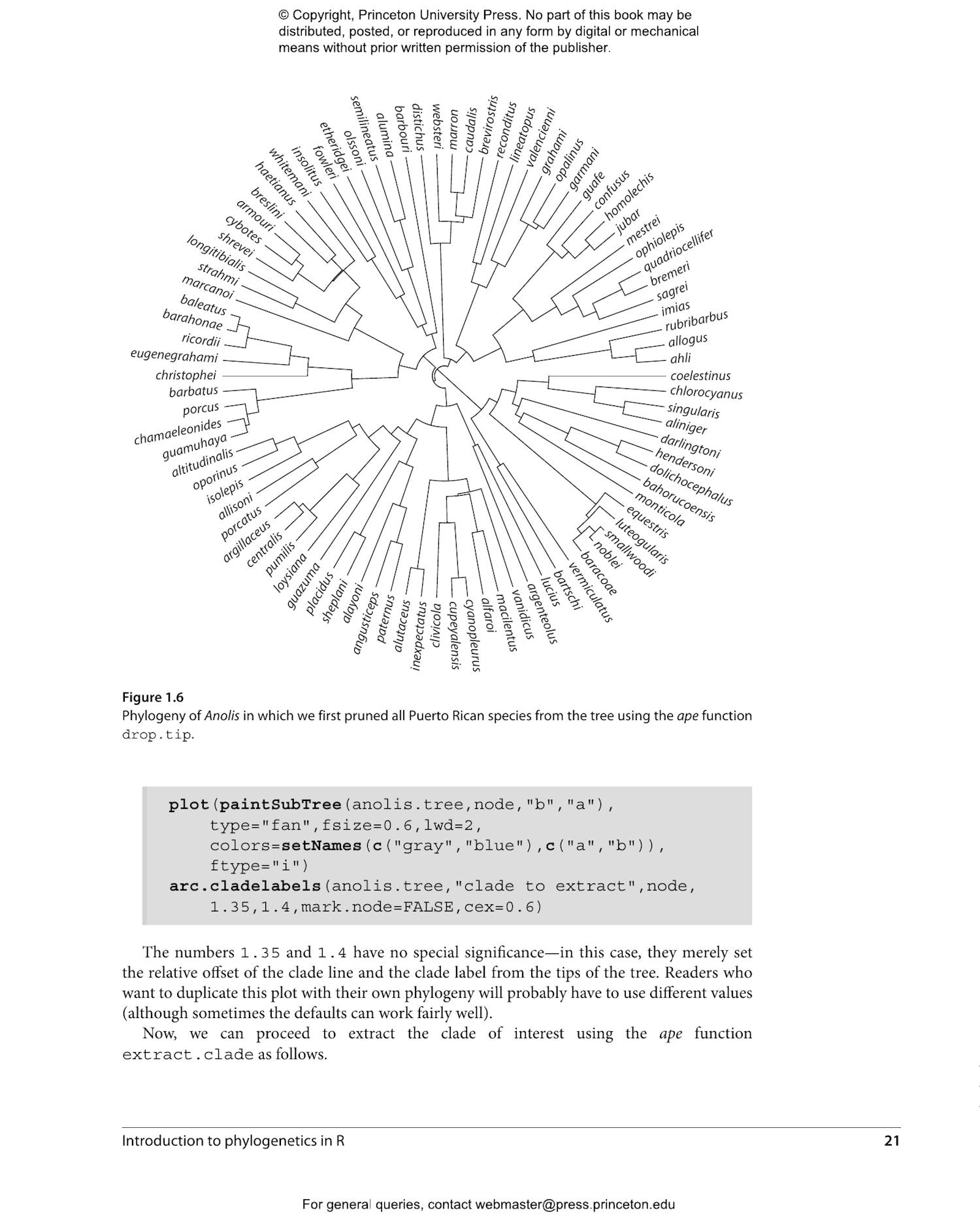 Phylogenetic Comparative Methods in R | Princeton University Press