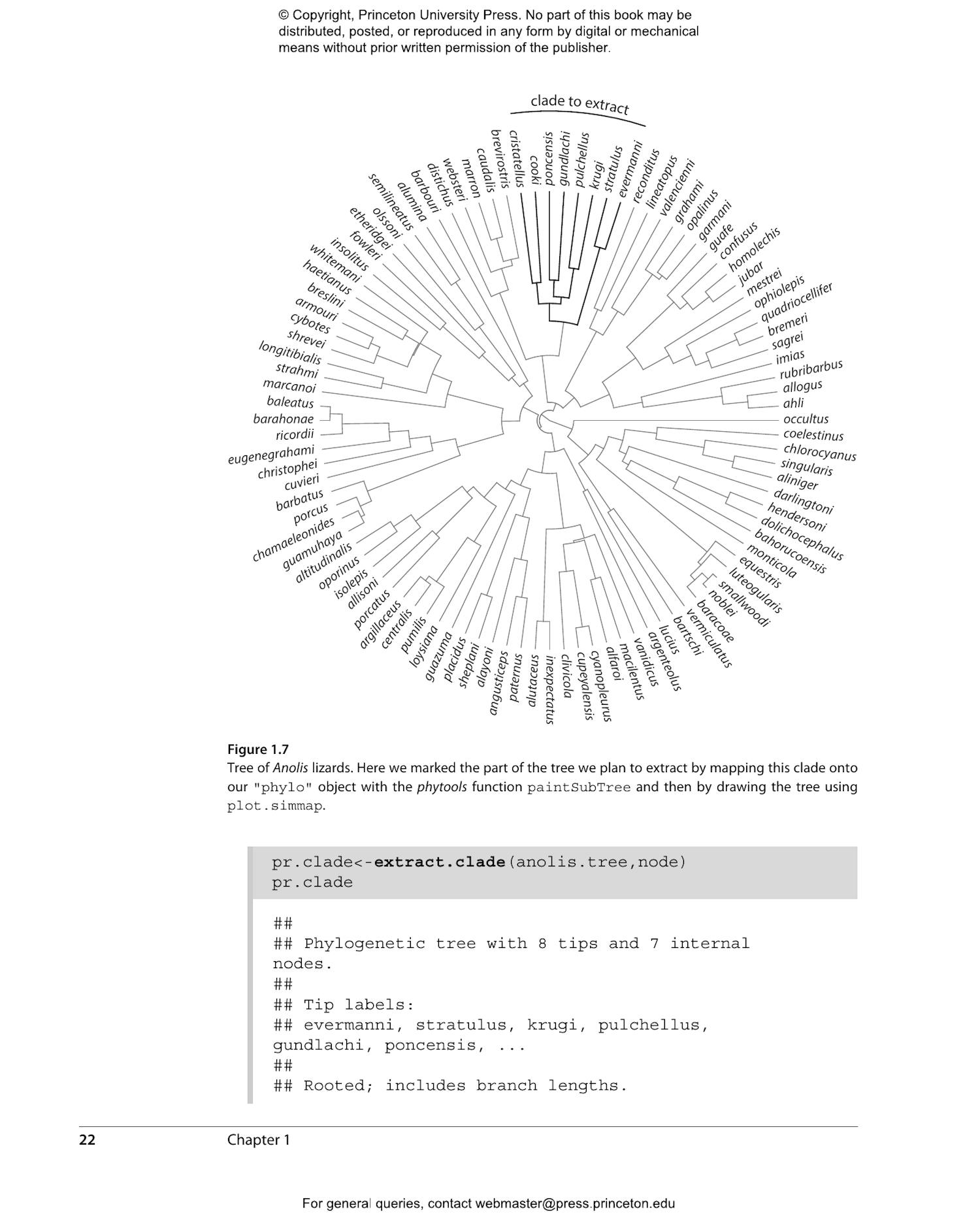 Phylogenetic Comparative Methods in R | Princeton University Press