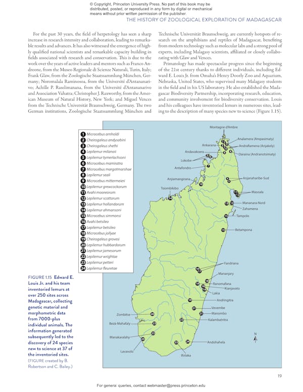 The New Natural History of Madagascar | Princeton University Press