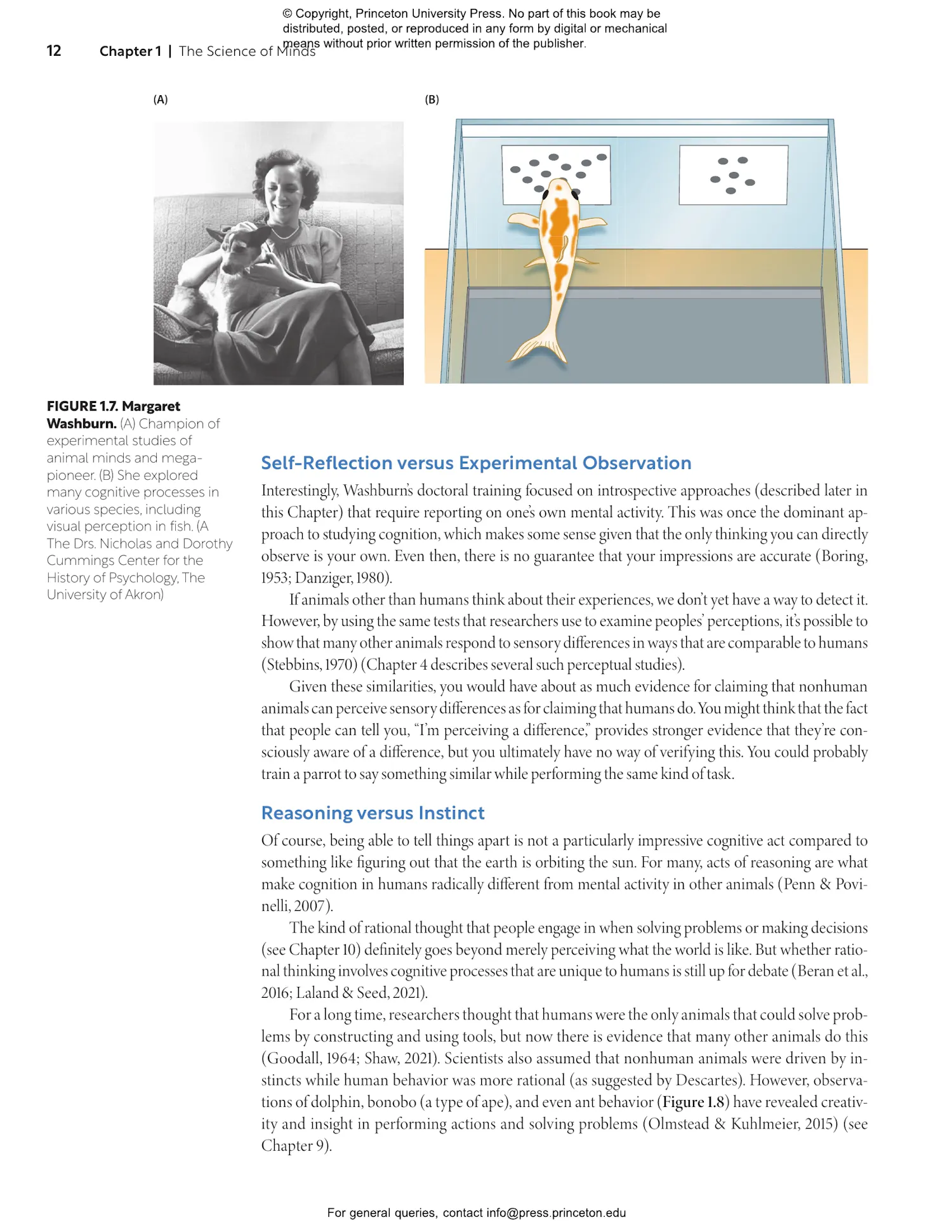 Principles of Cognition | Princeton University Press