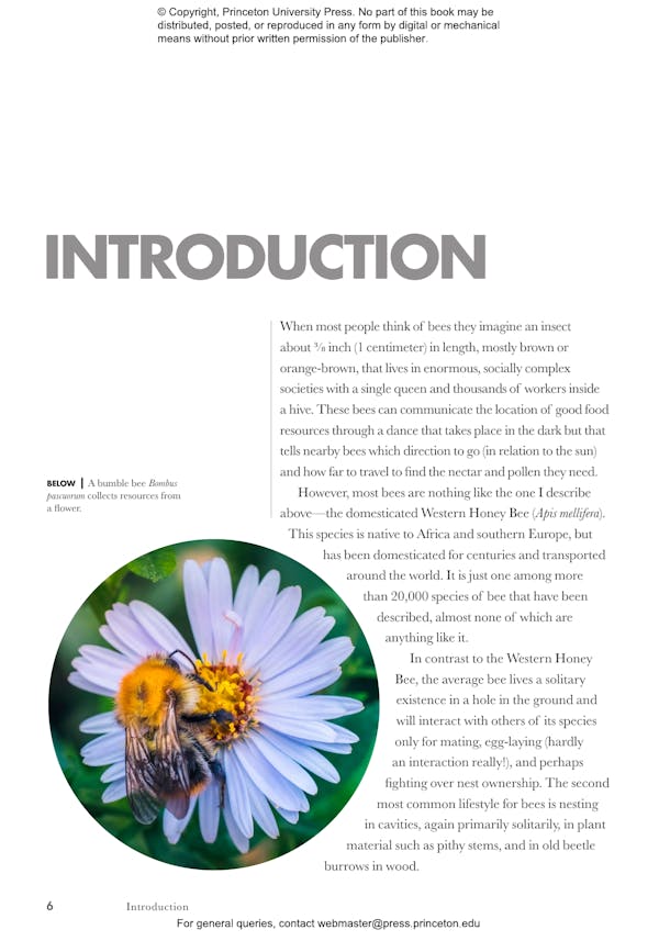 Bees of the World | Princeton University Press