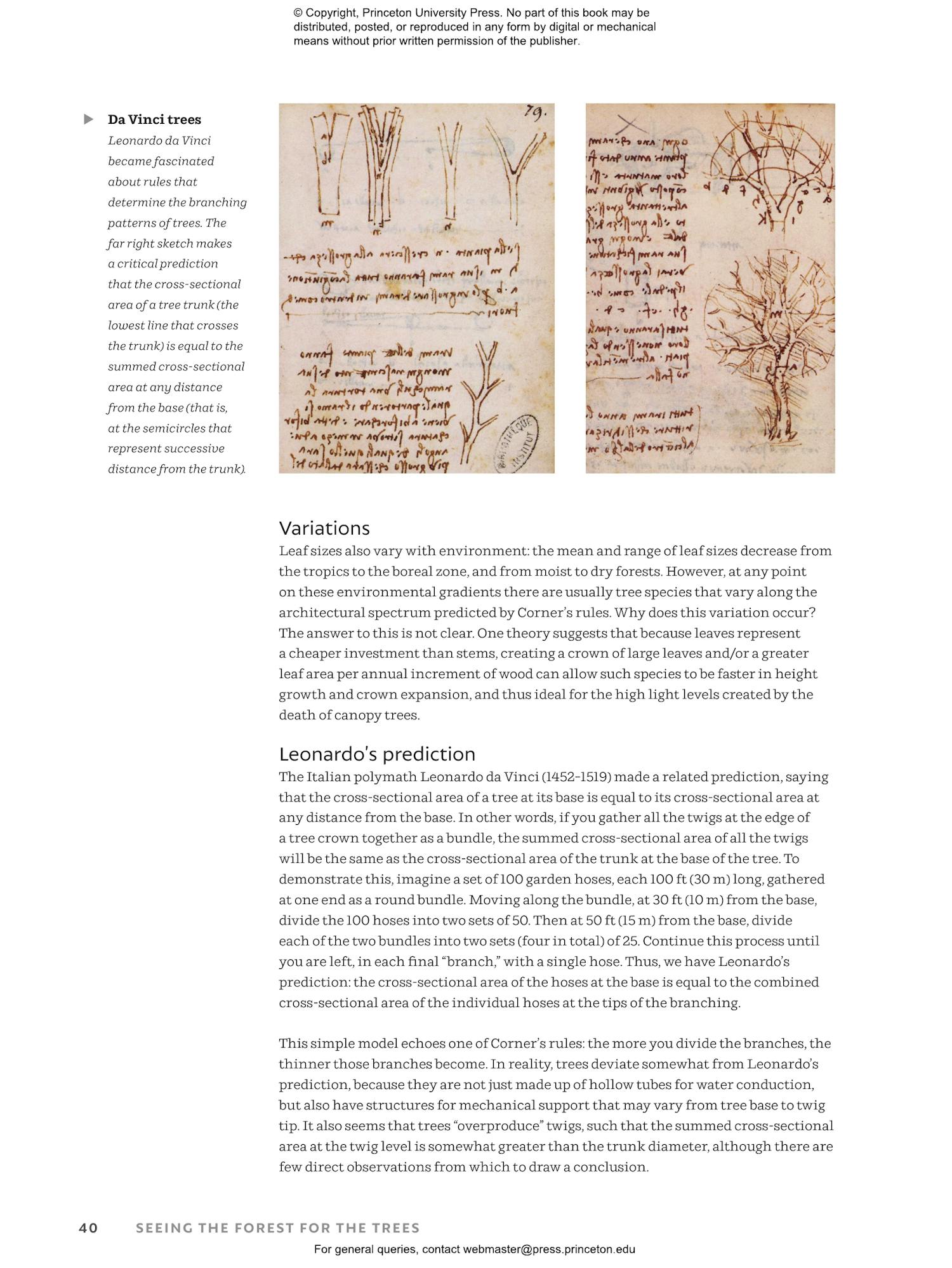 The World Atlas of Trees and Forests | Princeton University Press