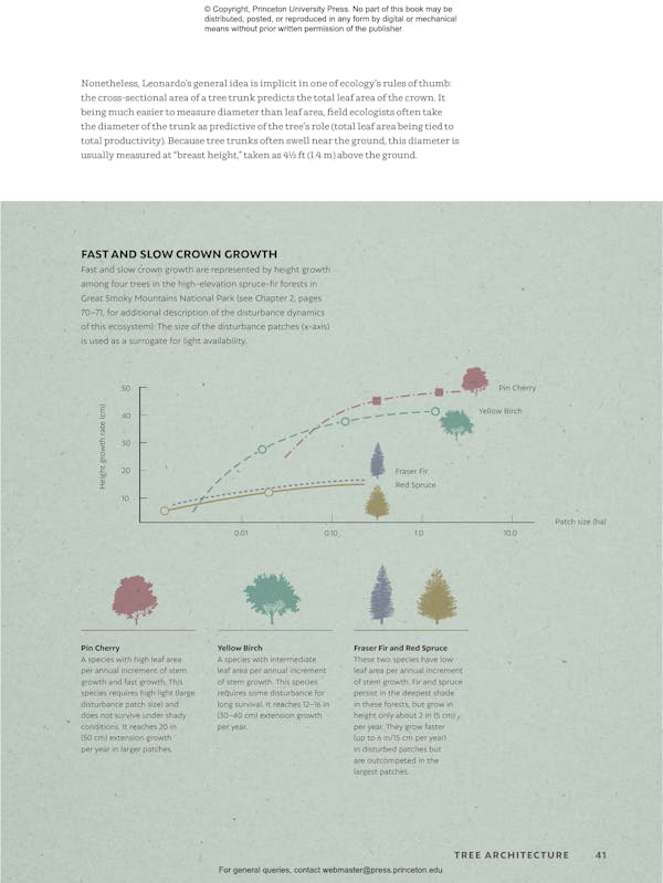 The World Atlas of Trees and Forests | Princeton University Press