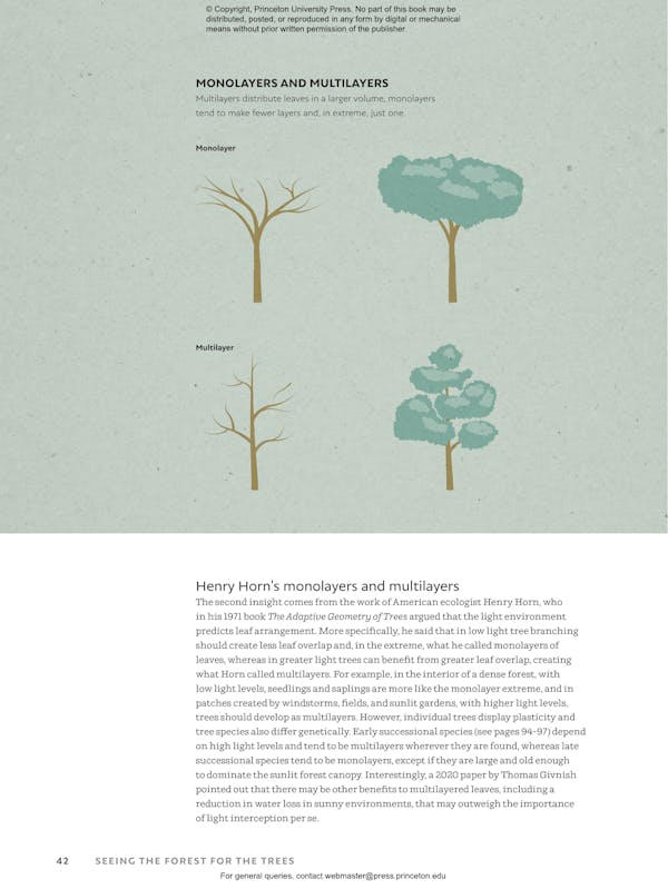 The World Atlas of Trees and Forests | Princeton University Press