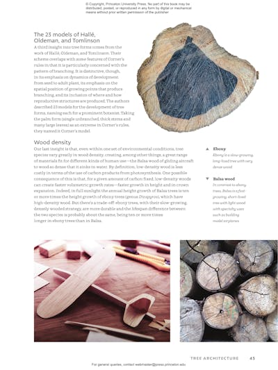 The World Atlas of Trees and Forests | Princeton University Press