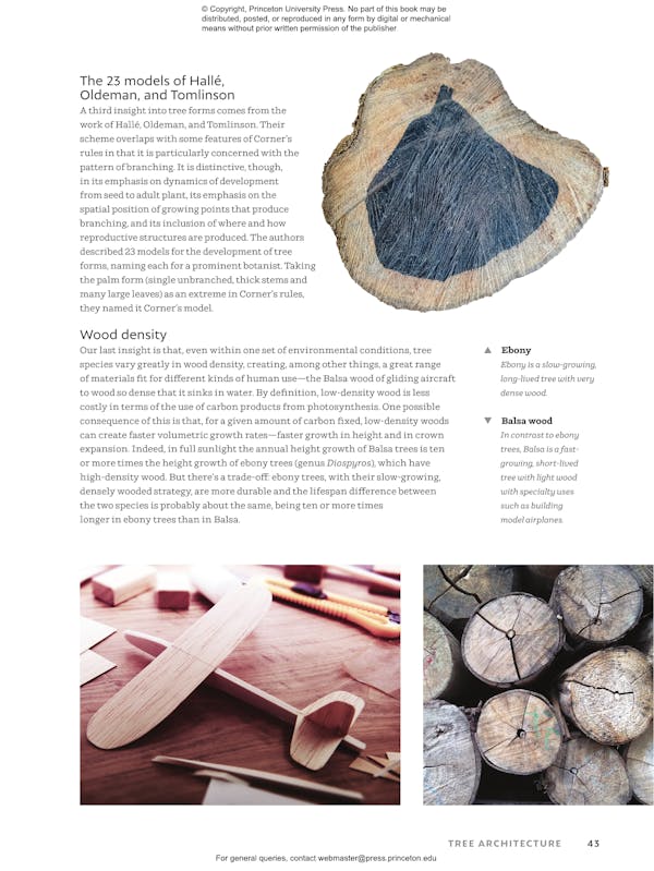 The World Atlas of Trees and Forests | Princeton University Press