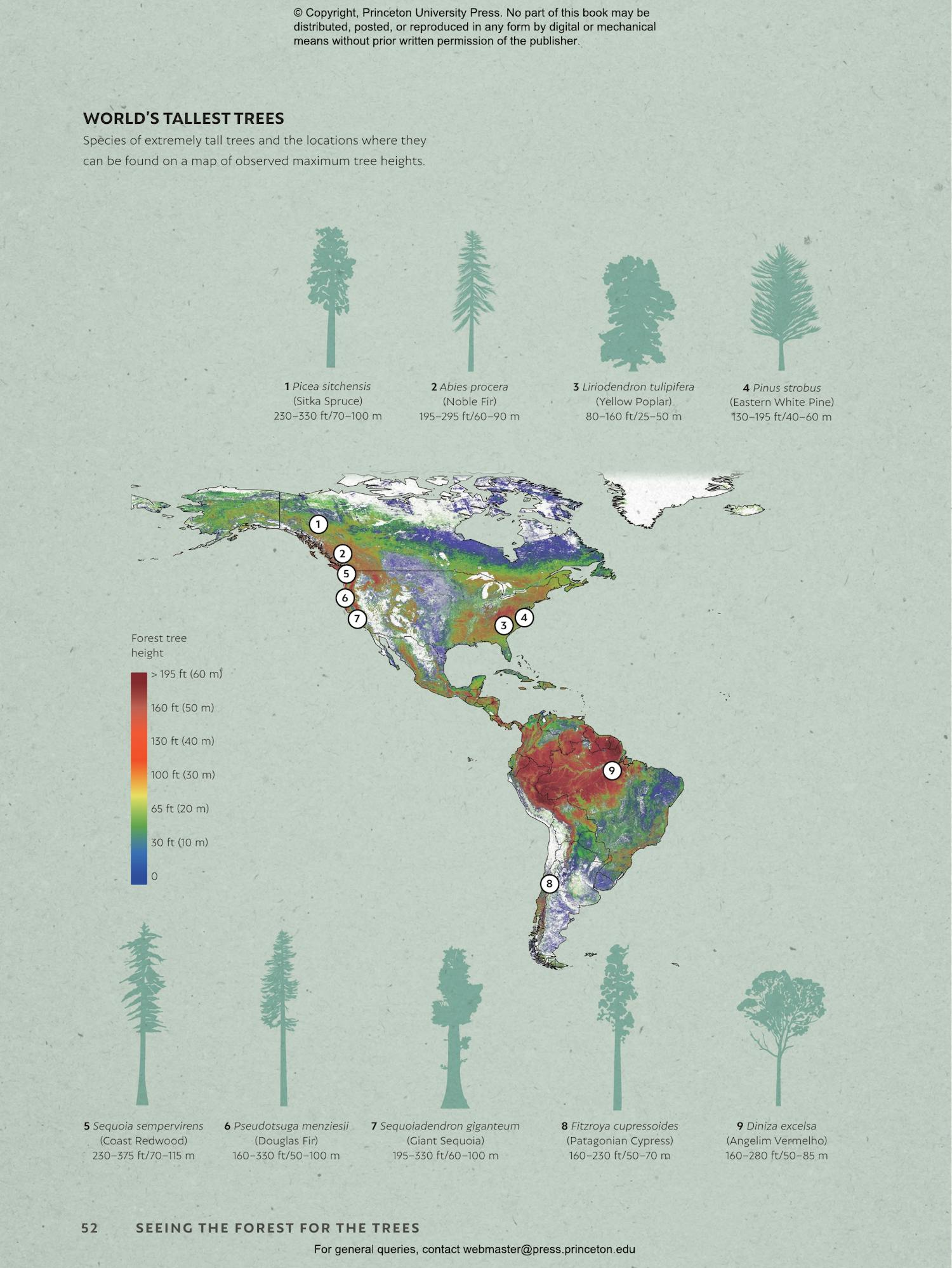 The World Atlas of Trees and Forests | Princeton University Press