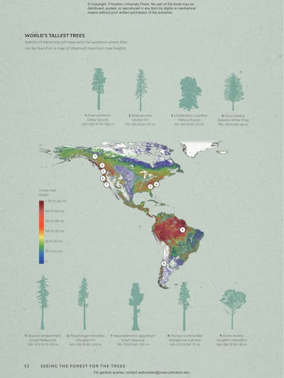 The World Atlas of Trees and Forests | Princeton University Press