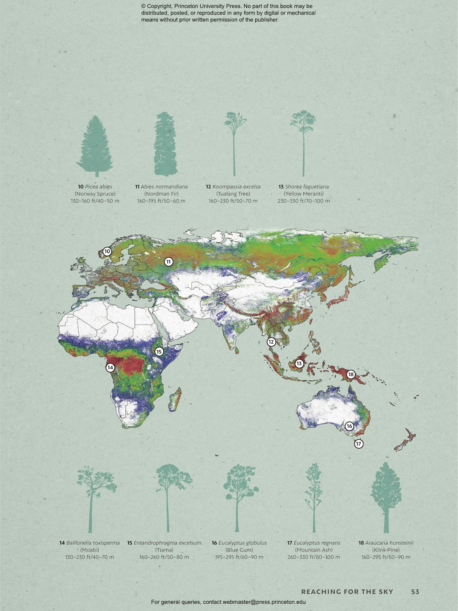 The World Atlas of Trees and Forests | Princeton University Press
