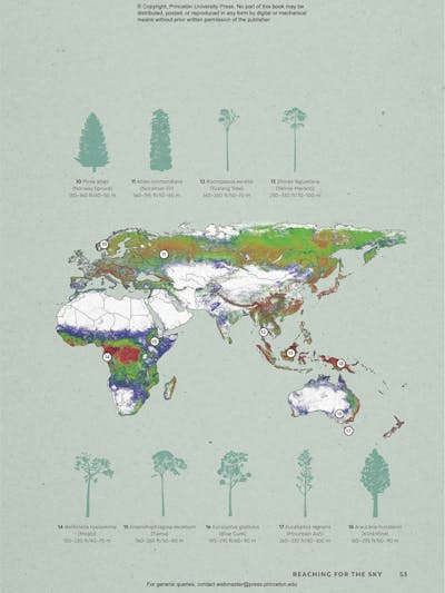 The World Atlas of Trees and Forests | Princeton University Press