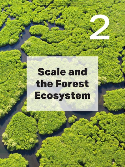 The World Atlas of Trees and Forests | Princeton University Press