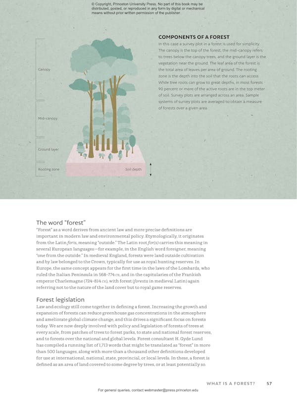 The World Atlas of Trees and Forests | Princeton University Press