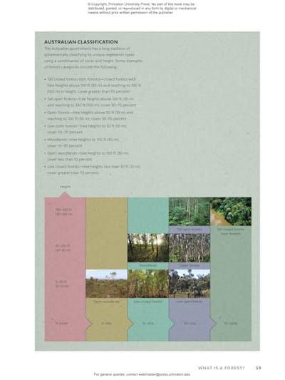 The World Atlas of Trees and Forests | Princeton University Press