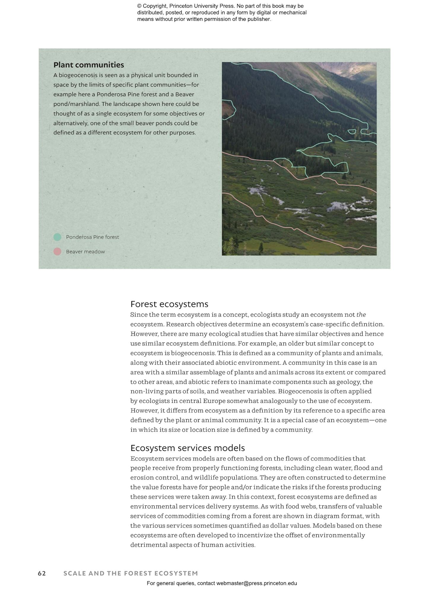 The World Atlas of Trees and Forests | Princeton University Press