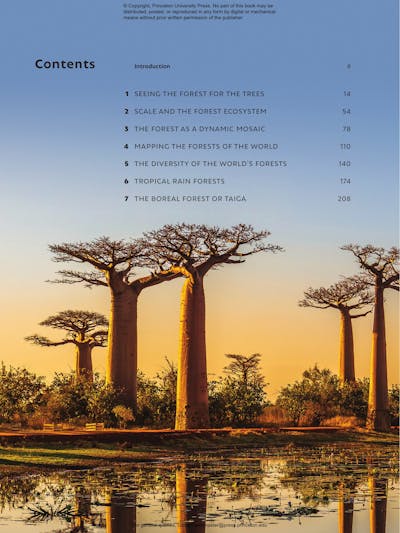 The World Atlas of Trees and Forests | Princeton University Press