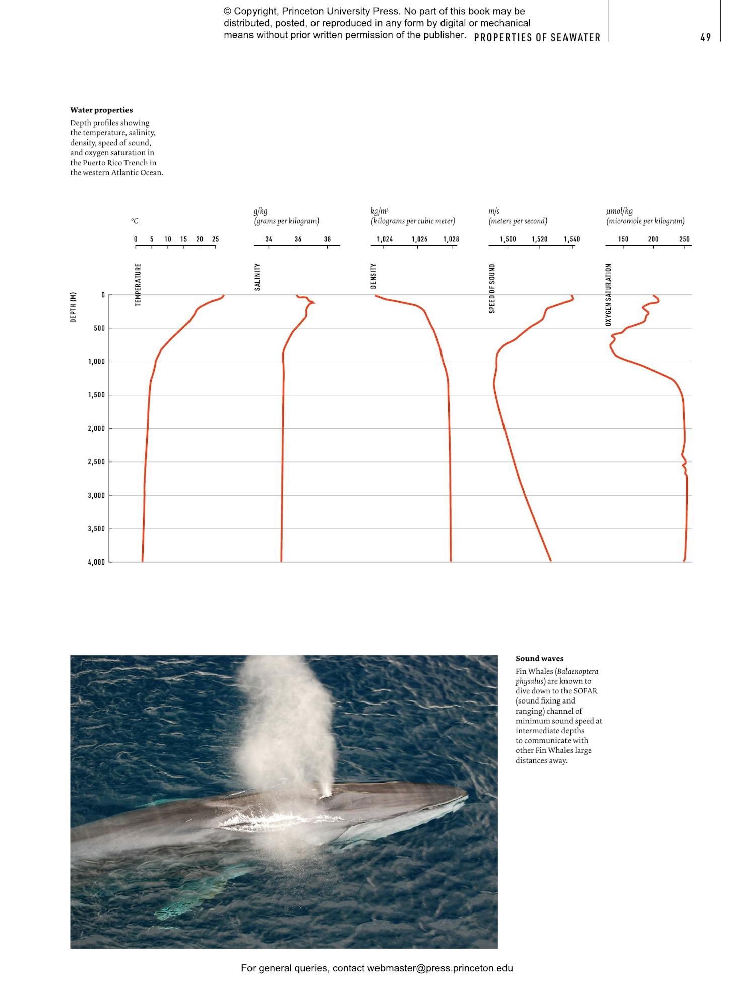 The Deep Ocean | Princeton University Press