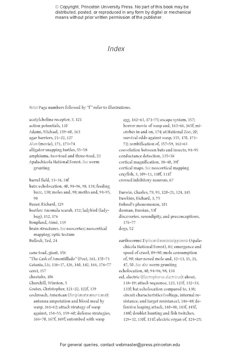 Great Adaptations | Princeton University Press