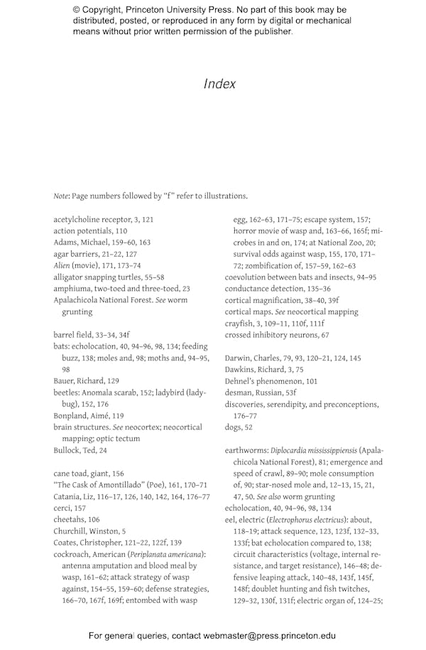 Great Adaptations | Princeton University Press