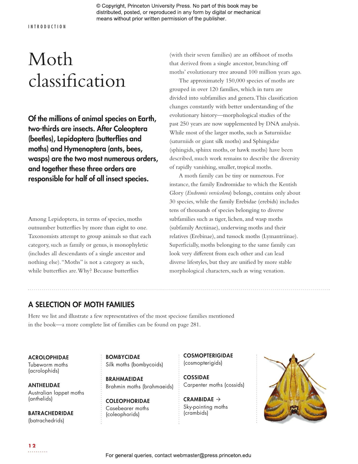 The Lives of Moths | Princeton University Press