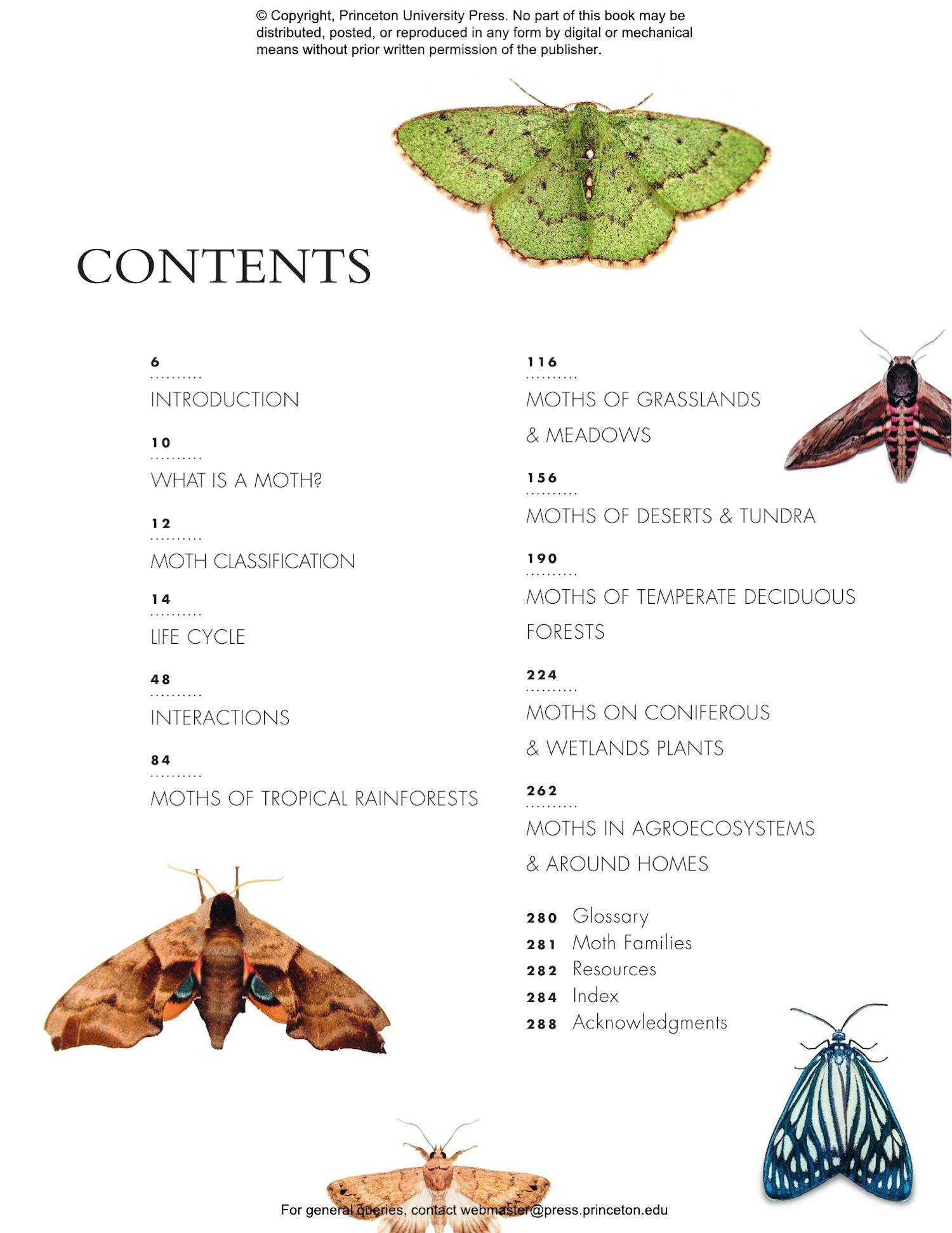 The Lives of Moths | Princeton University Press